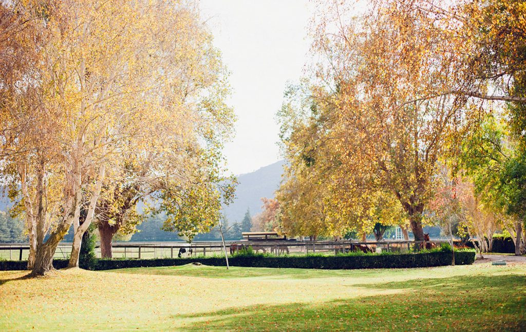 Whispering Rose Ranch - Wine Country - Santa Barbara Venues