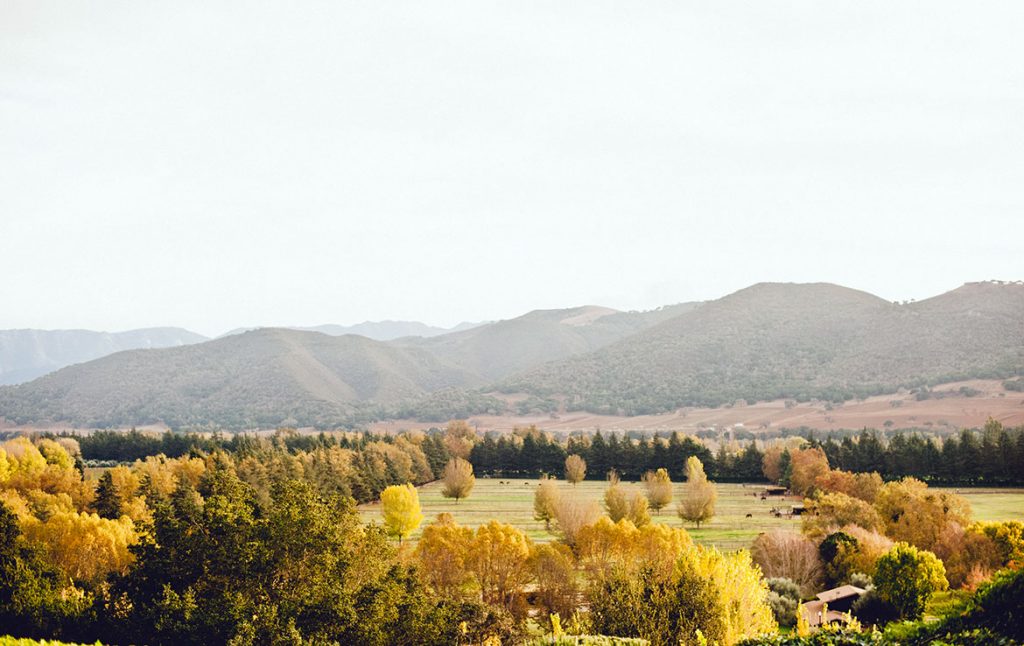 Whispering Rose Ranch - Wine Country - Santa Barbara Venues